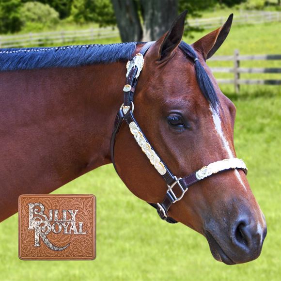 Billy Royal® Total Elegance Classic Show Halter