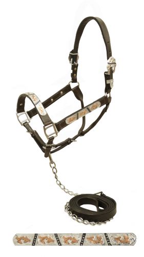 Horse Silver Show Halter with Copper and Black Accents
