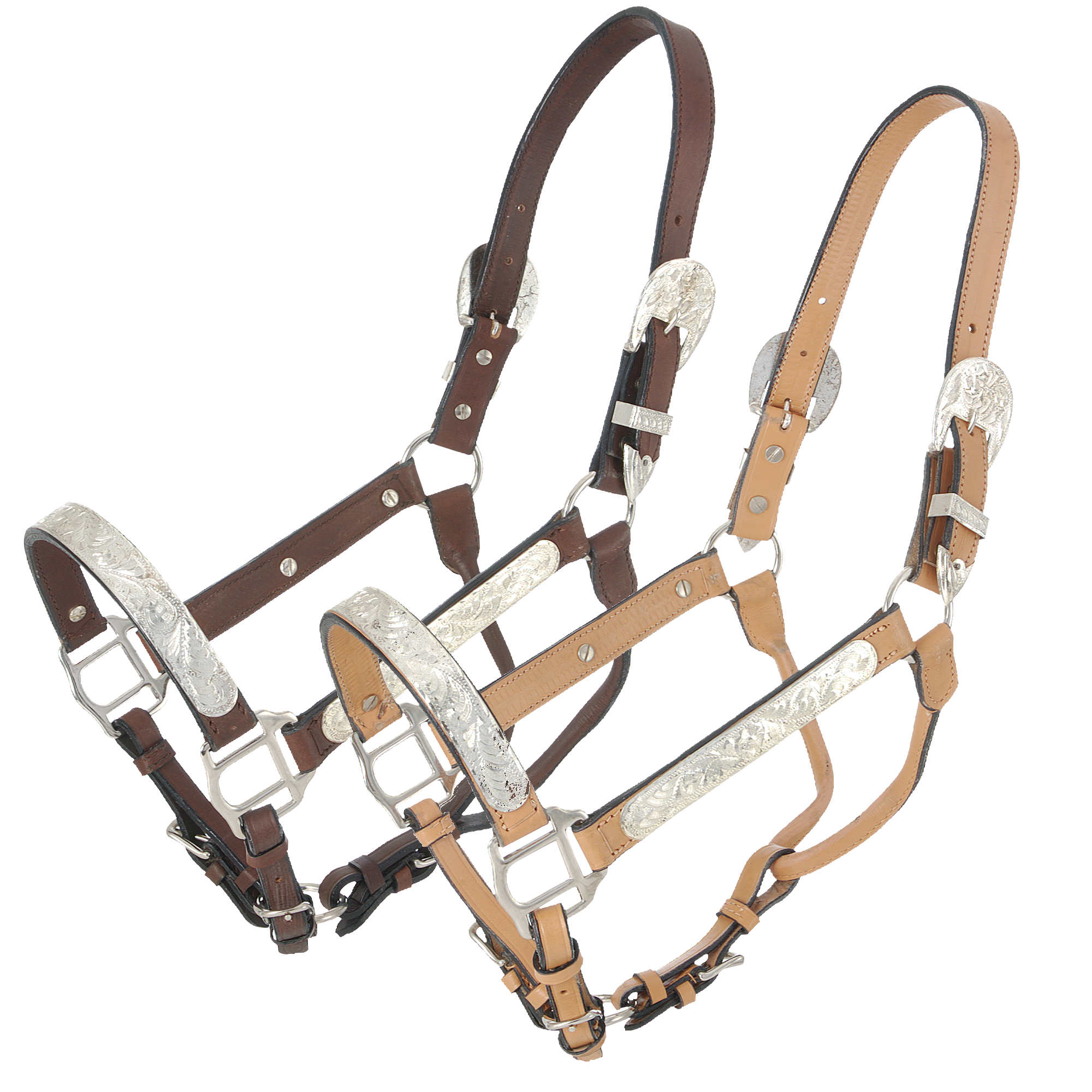 Showman Halters! Good or bad? | The Horse Forum
