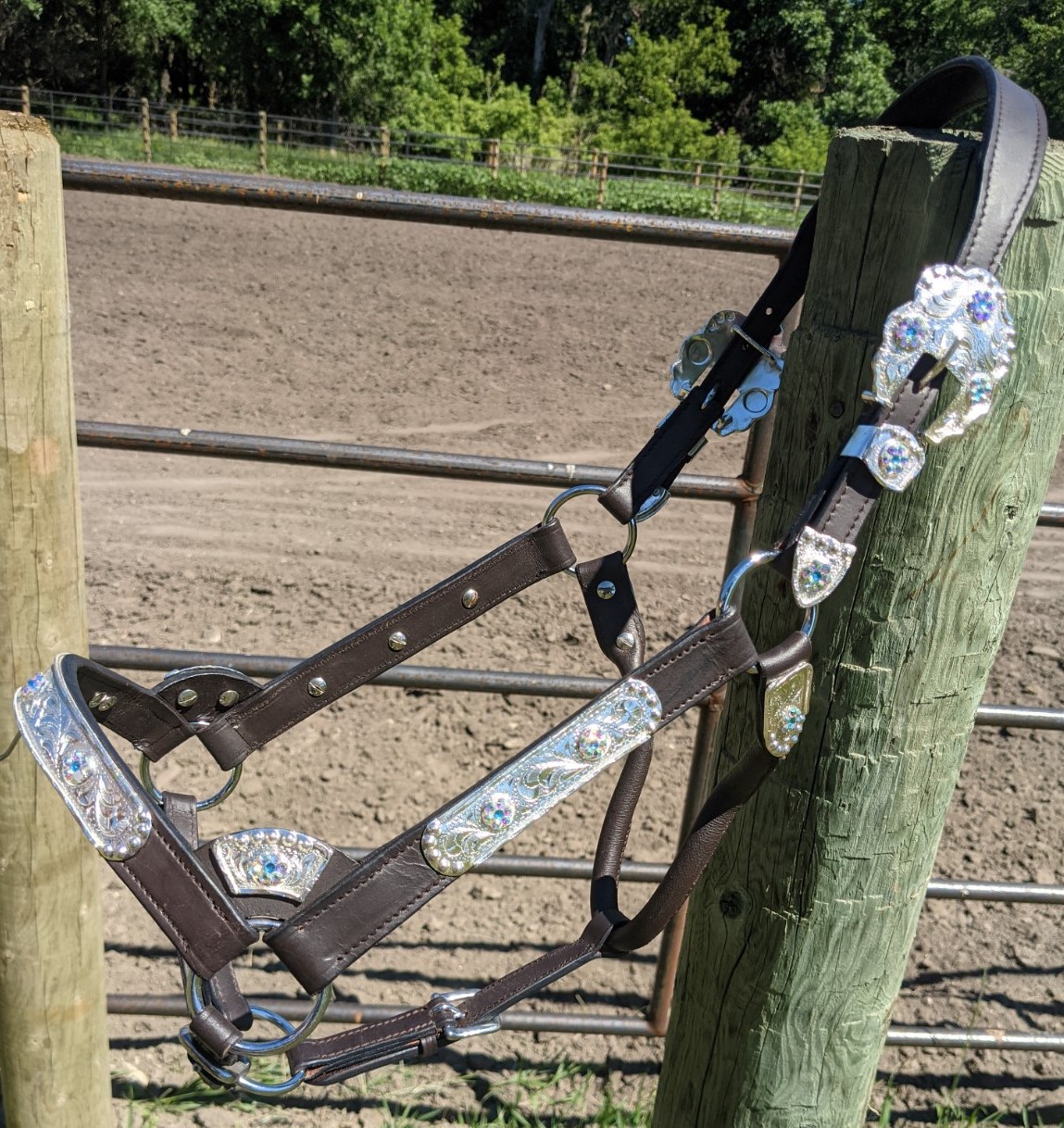 Silver Horse Show Halter - Iridescent Stones - Dark Oil