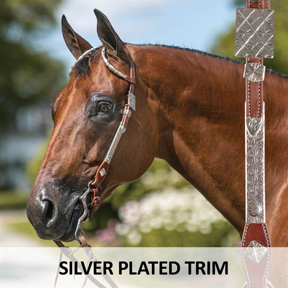 SS Double Ear Diamond and Silver Ferrule show Headstall Bridle
